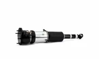 ASE-3821 | Arnott New Front Electronic Air Strut | Audi