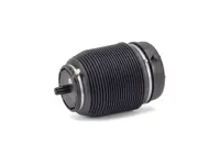 A-2960 | Arnott Rear Left or Right Air Spring | Audi