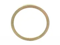 51294 | ABS Tone Ring | 100 Tooth