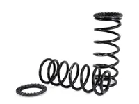 C-2410 | Arnott Rear Coil Spring Conversion Kit | Lexus