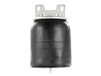 W01-M58-9656 | Firestone Airide Air Spring | 1T15M-8
