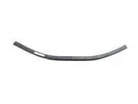 43-2013 | Ford Rear Leaf Spring | 1 Leaf