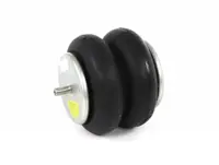 W01-358-7795 | Firestone Airide Air Spring | 257