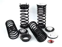C-2227 | Arnott Coil Spring Conversion Kit | Land Rover